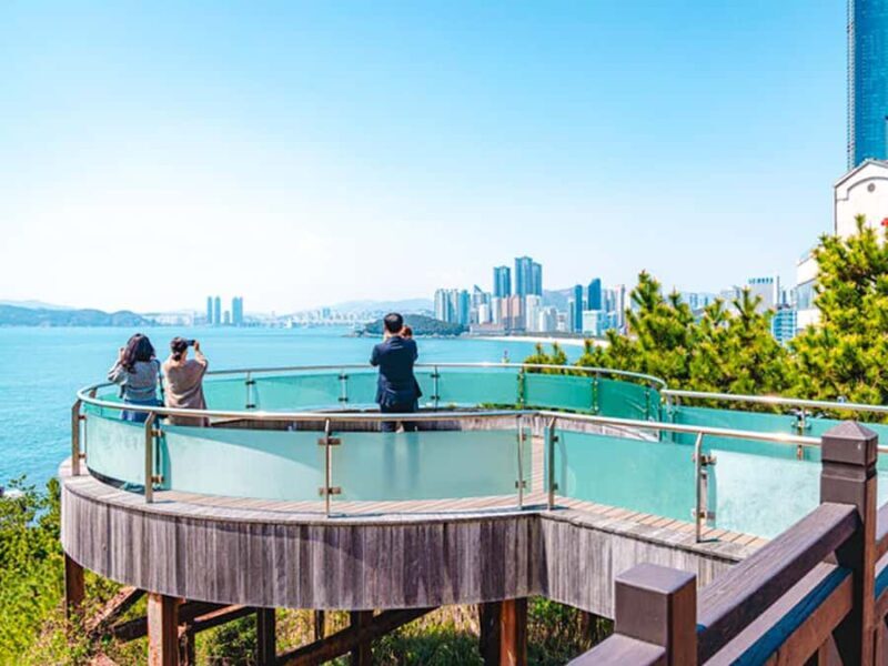 Busan: Spring Cherry Blossom & Gyeongju Highlights Day Tour - Key Points