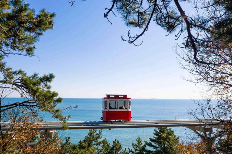 Busan: Sunset Haeundae Sky Capsule & Busan Night Views Tour - The Sum Up