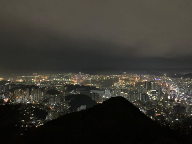 Busan: The best night view small group tour - A Close Look at the Experience