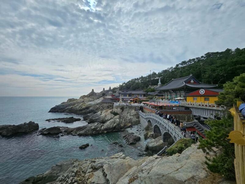 Busan: Top Attractions Tour for Cruise Guests - Key Points