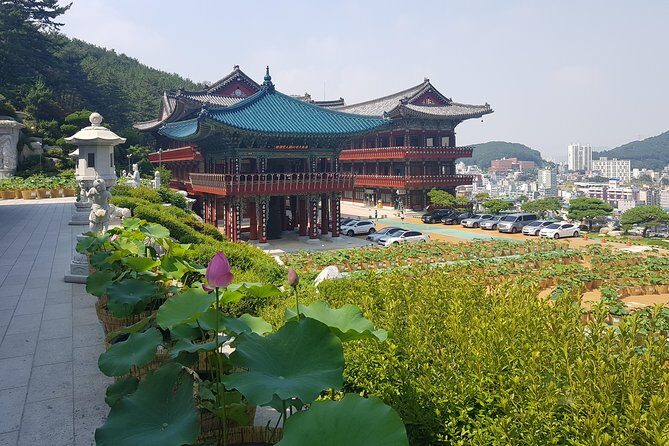 Busan Tour with Gamcheon Culture Village - Hwangnyeongsan Mountain: Scenic Views from the Heights
