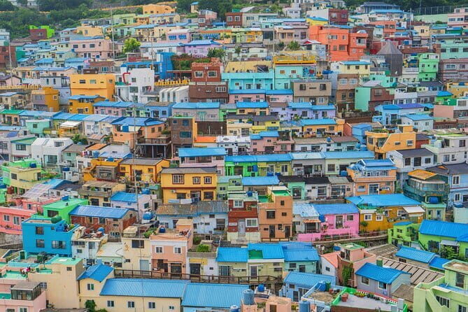 Busan walking tour (Small group, Sweet pancake included) - The Sum Up