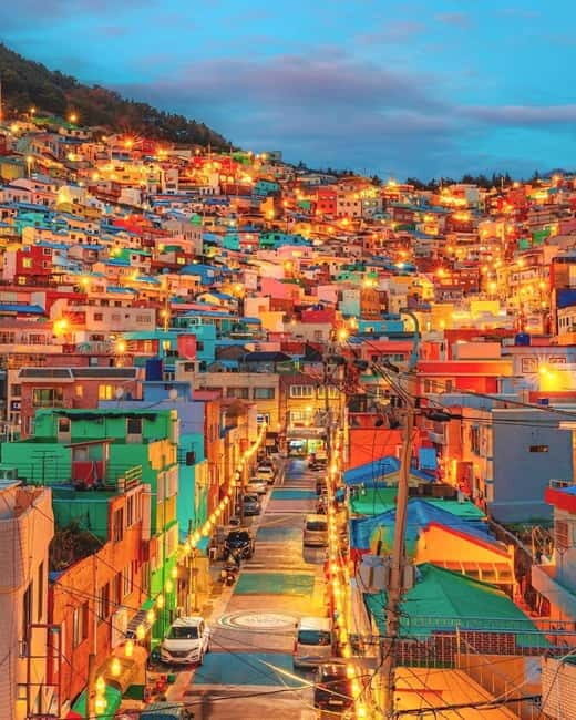 Busan: Your Private Custom Tour  Half/Full - How the Tour Is Structured and What to Expect