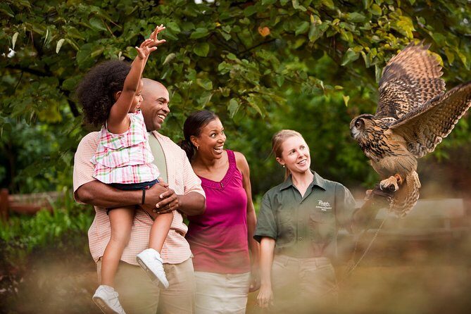 Busch Gardens Williamsburg Admission Ticket - Food, Shops, and Theming