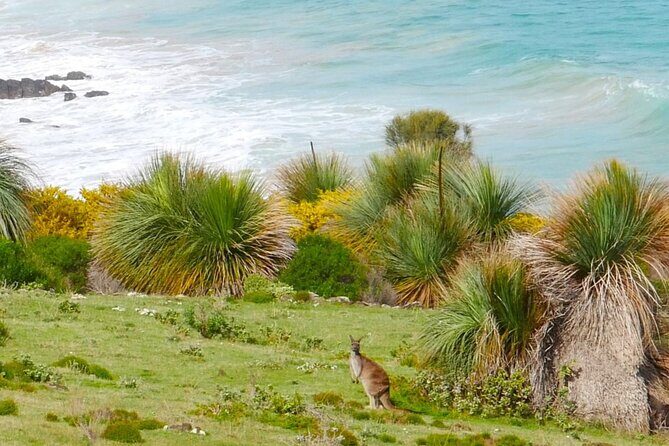 Bush and Bay in a Day - An In-Depth Look at the Itinerary