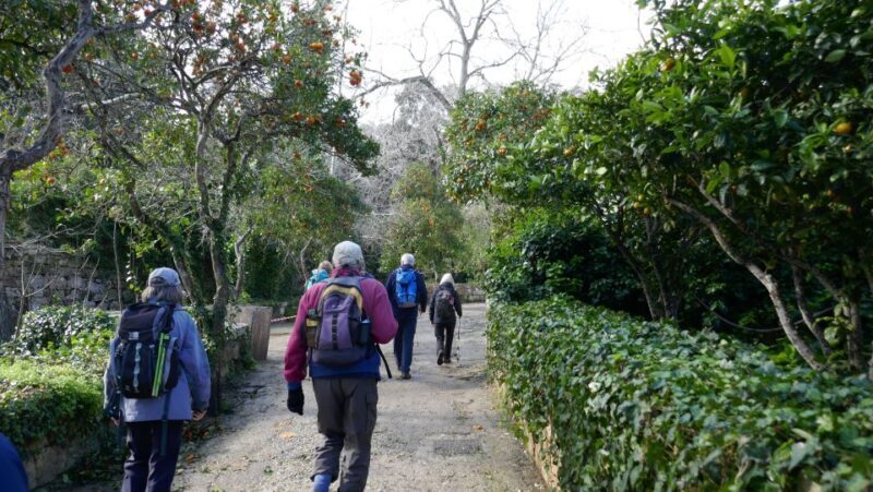 Buskett Woodlands and Dingli Cliffs Private Nature Tour - Price and Value