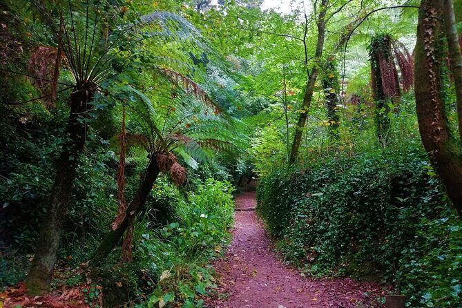 Bussaco Forest Walking Experience, half day from Coimbra - Frequently Asked Questions