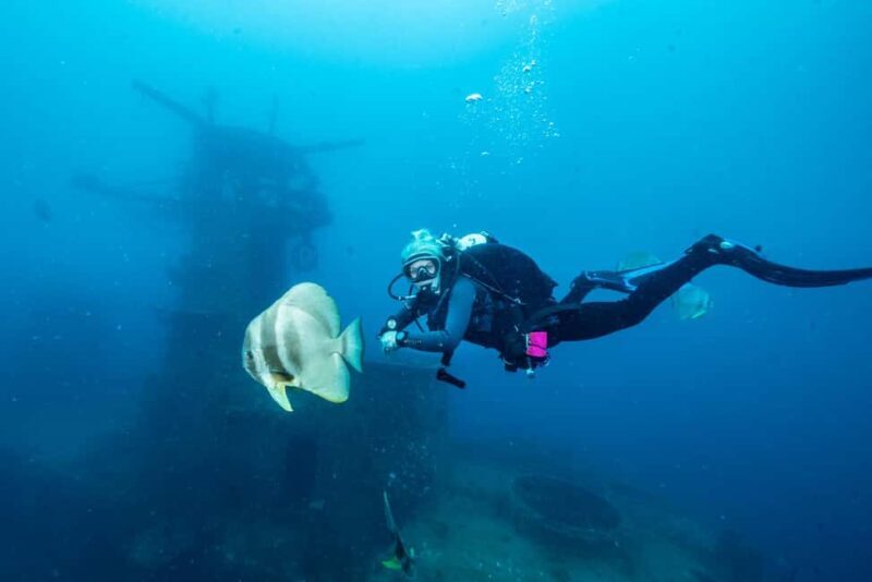 Busselton / Dunsborough : HMAS Swan Wreck Scuba Dive - Key Points