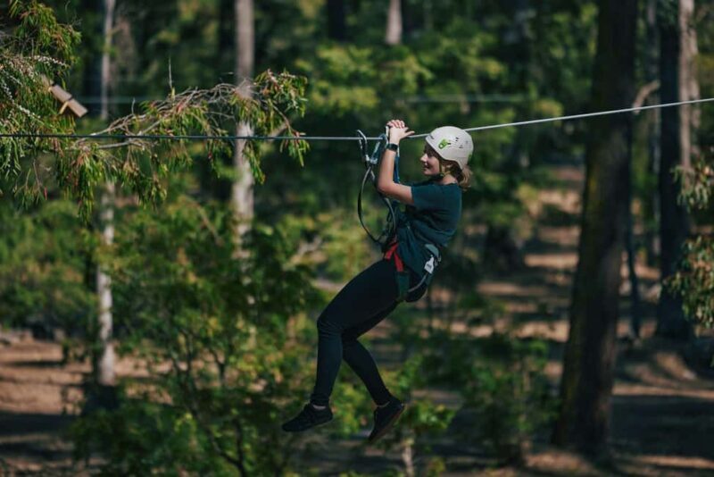 Busselton: Forest Adventure with Zip Lining and Rope Course - An Overview of the Experience