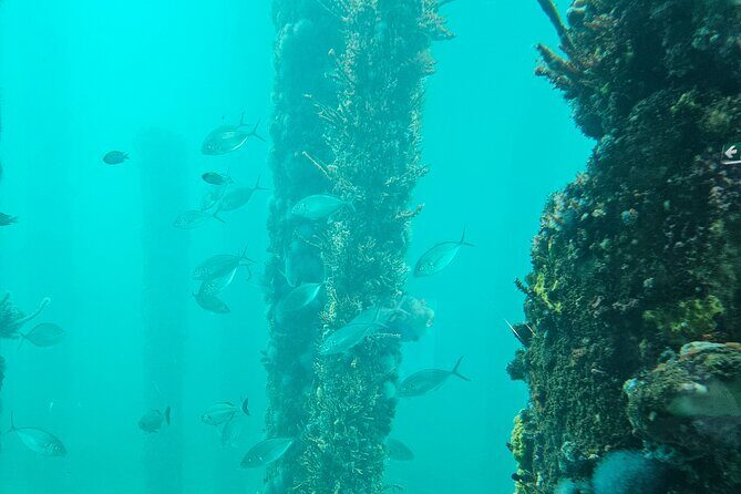 Busselton Jetty and Underwater Observatory - Discover the Beauty of Busselton Jetty and Underwater Observatory: A Practical Review