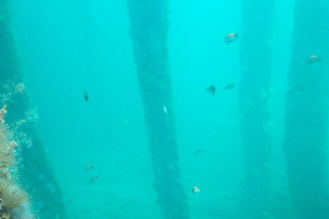 Busselton Jetty and Underwater Observatory - Final Thoughts: Who Will Love This Tour?