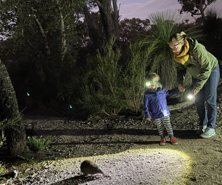 Busselton: Nocturnal Animal Tour - Key Points