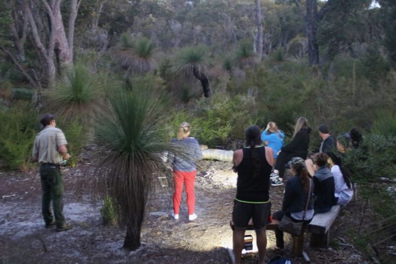 Busselton: Nocturnal Animal Tour - Authentic Encounters Backed by Reviews