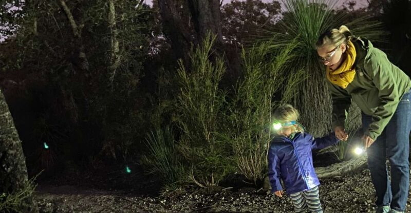 Busselton: Nocturnal Animal Tour - The Sum Up