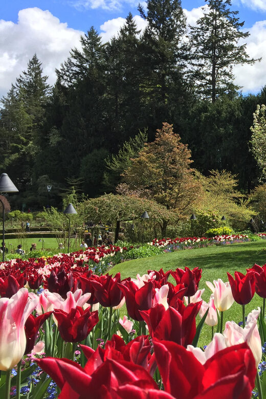 Butchart & Beyond: The Grand Victoria Tour - Exploring Victoria in Style and Comfort