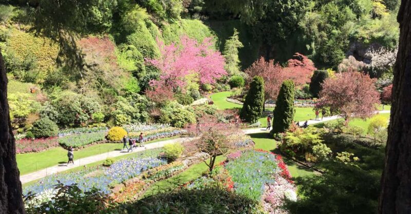 Butchart & Beyond: The Grand Victoria Tour - Why This Tour Stands Out