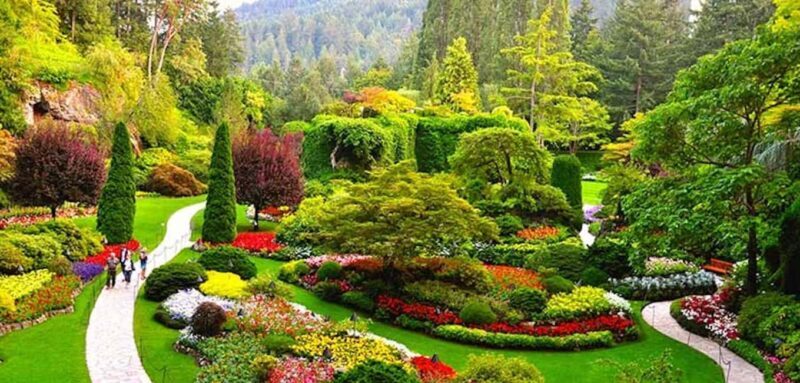 Butchart & Beyond: The Grand Victoria Tour - Who Will Love This Tour?