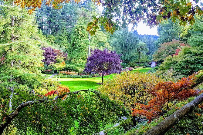 Butchart Gardens and City Highlights Private tour - What’s Included and What’s Not