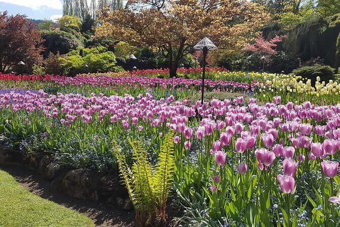 Butchart Gardens and City Highlights Private tour - Authentic Feedback from Travelers