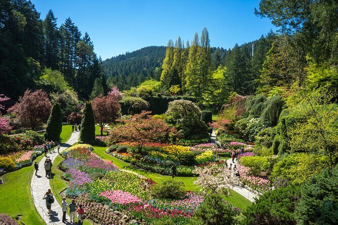 Butchart Gardens Spring & Summer Bloom Highlights (1-6pax) - A Closer Look at the Tour Experience