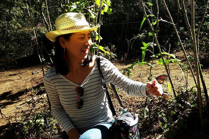 Butterfly Monarch Tour from Mexico City - Final Thoughts: Is It Worth It?