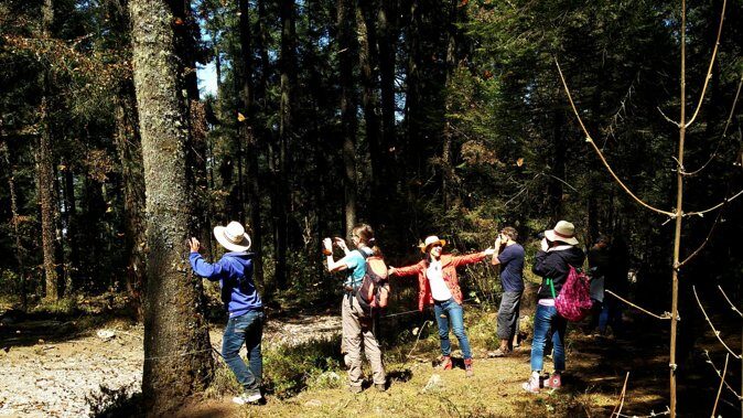 Butterfly Monarch Tour from Mexico City - FAQ
