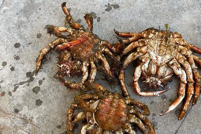 Buy, Cook & Taste-Gastronomic Tour North Portugal - The Practicalities: What to Expect