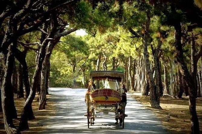 Buyukada Princes Island Guided Day Tour with lunch from Istanbul - FAQ