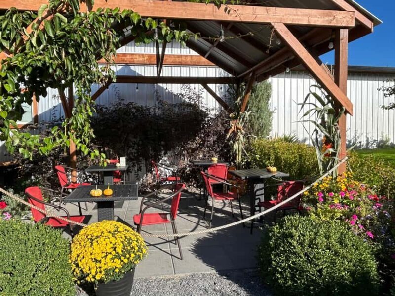 Buzz + Bites! Lunch for Two in East Kelowna - Buzz + Bites! Lunch for Two in East Kelowna: An Authentic Okanagan Farm Experience