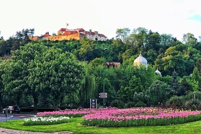 BV01 - City Tour Brasov in English: Secrets of Kronstadt - Authentic Feedback from Past Participants