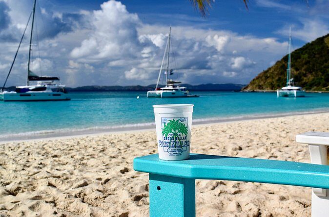 BVI Private Charter to Jost Van Dyke on 32' Power Catamaran - Is This Tour Right for You?