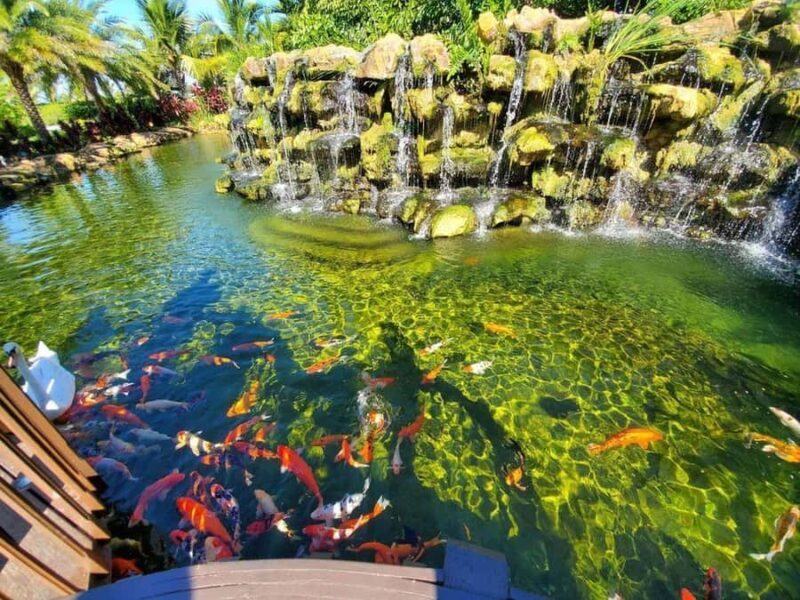 By Brother's Park: 1Hr ATV Ride, Park Entry, Pizza & Drink - The Sum Up