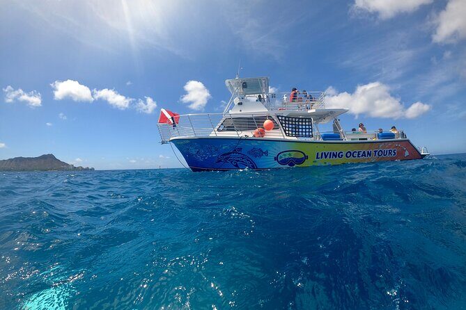 BYOB Sunset Cruise off the Waikiki Coast - Who Should Consider This Tour?