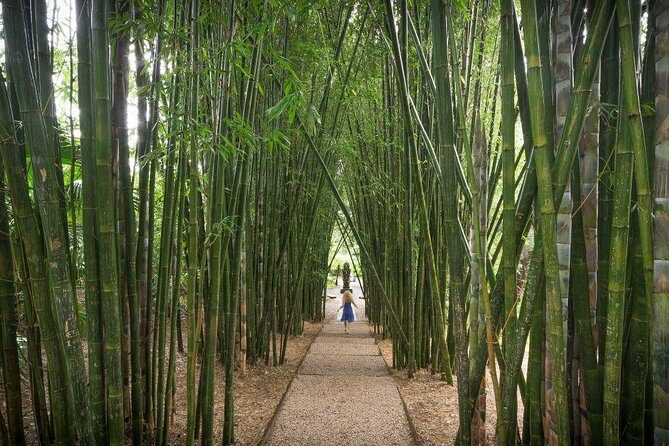 Byron Bay and Beyond Tour Including Cape Bryon Lighthouse Crystal Castle and Bangalow - FAQ