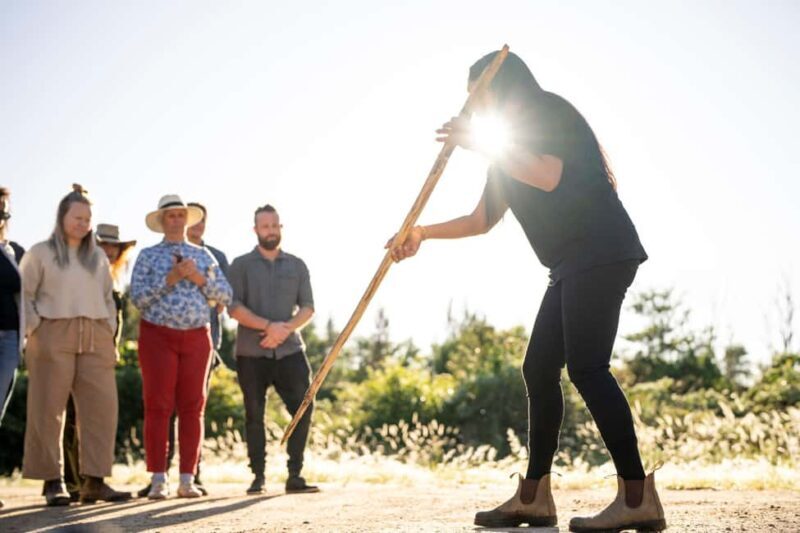 Byron Bay: Bangalow Bush Tucker Tour - Cultural Significance and Education