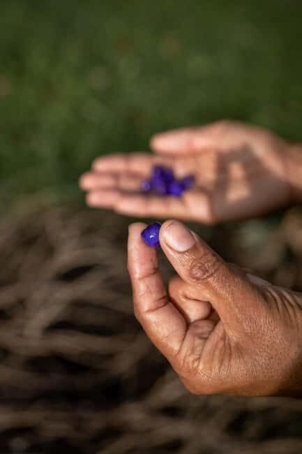 Byron Bay: Bangalow Bush Tucker Tour - Who Should Consider This Experience?
