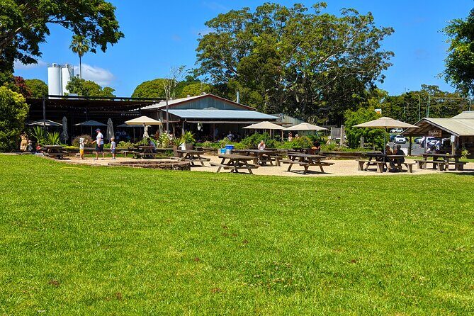 Byron Bay, Bangalow & Gold Coast Day Trip from Brisbane - Authentic Experiences and Reviews