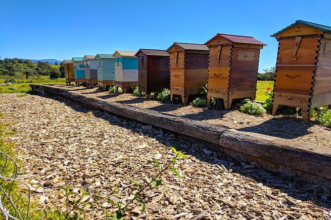 Byron Bay, Bangalow & Gold Coast Day Trip from Brisbane - Frequently Asked Questions
