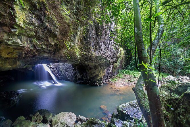 Byron Bay, Bangalow & Gold Coast Day Trip from Brisbane - Final Thoughts