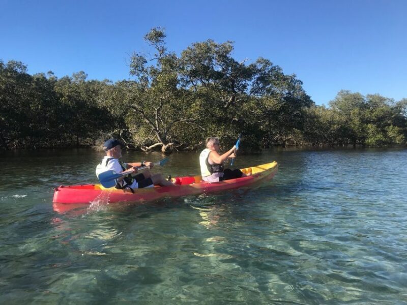 Byron Bay: Brunswick River Scenic Kayak Tour - An Authentic Coastal Kayaking Experience