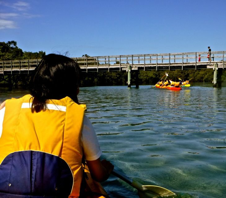 Byron Bay: Brunswick River Scenic Kayak Tour - Value for Money