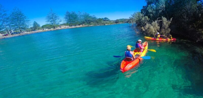Byron Bay: Brunswick River Scenic Kayak Tour - Who Will Love This Tour?