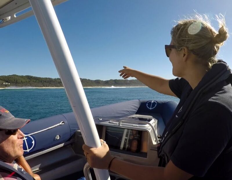 Byron Bay: Cruise with Dolphins Tour - An Introduction to the Byron Bay Dolphin Cruise