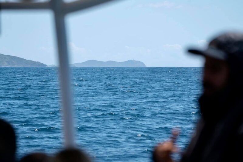 Byron Bay: Cruise with Dolphins Tour - Who Will Love This Tour?