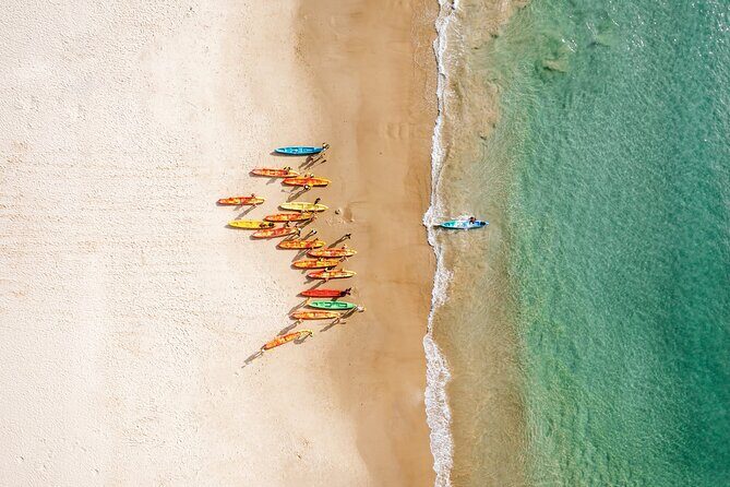 Byron Bay Discovery Day from Gold Coast - The Itinerary: How the Day Unfolds