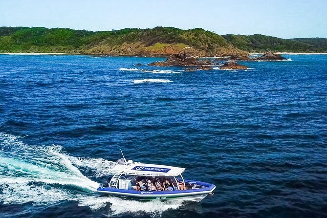 Byron Bay Dolphin Tour - Ocean Safari - An In-Depth Look at the Byron Bay Dolphin Tour