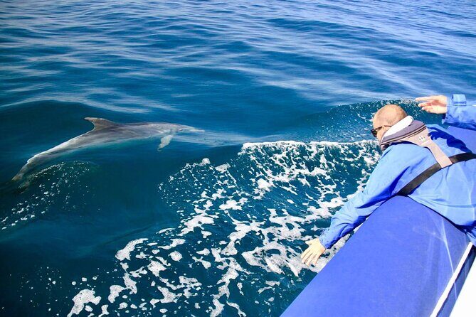 Byron Bay Dolphin Tour - Ocean Safari - The Sum Up: Why Choose Byron Bays Ocean Safari?