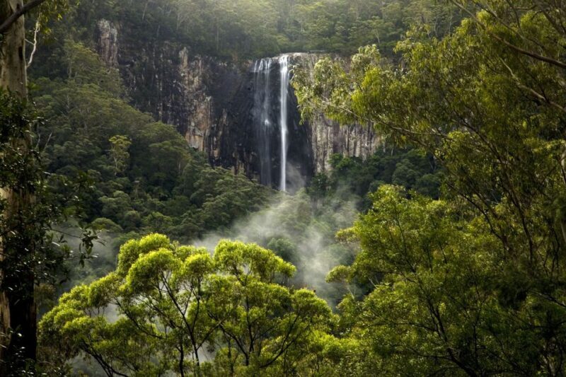 Byron Bay: Glowworms, Waterfalls & Rainforest Experience - Authentic Experiences & Guest Insights