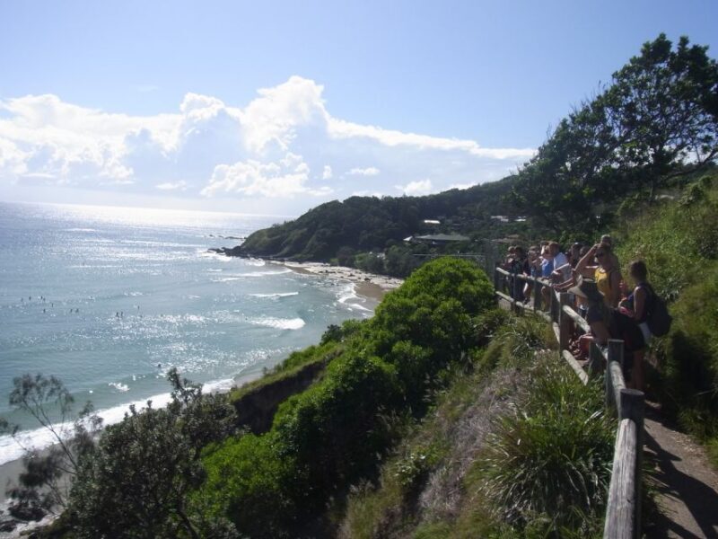 Byron Bay Half-Day Tour - The Sum Up