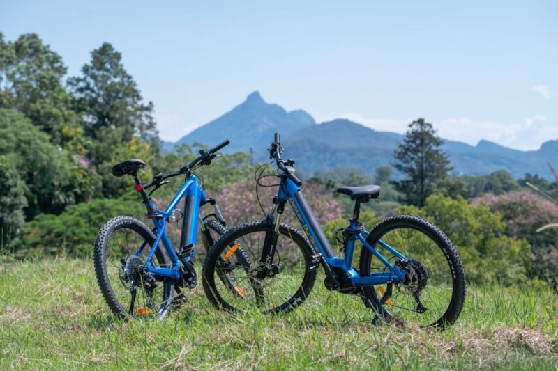 Byron Bay: Northern Rivers Rail Trail E-Bike Hire & Shuttle - Introduction: An Accessible Scenic Ride with a Personal Touch